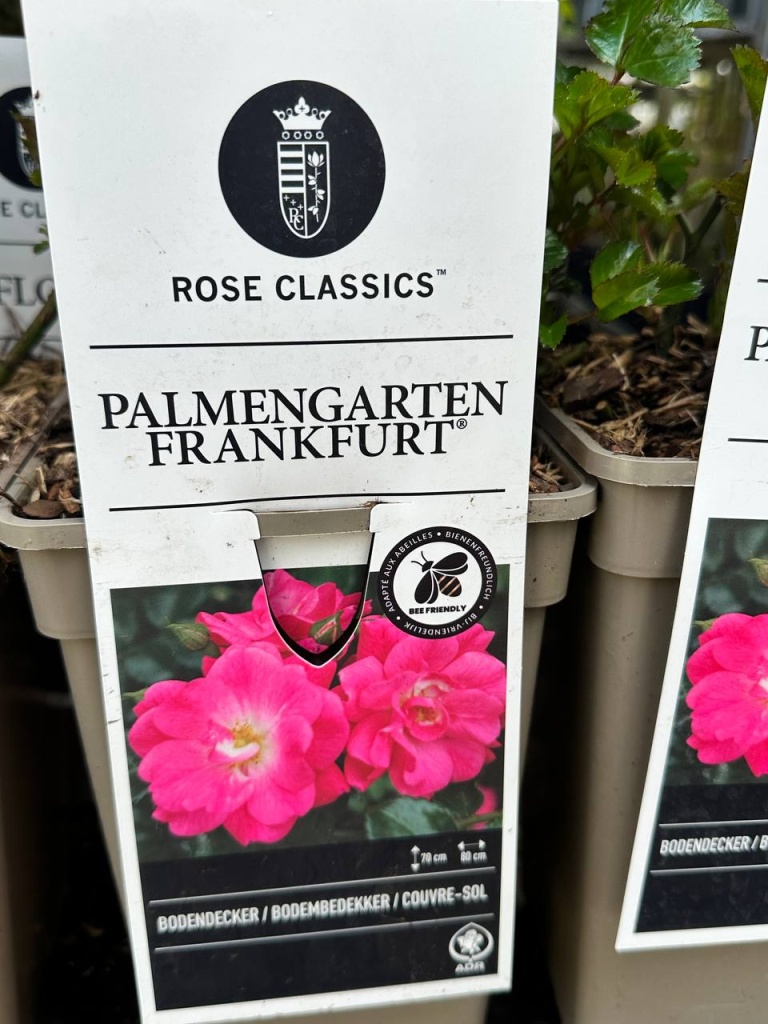 Roos “Palmengarten Frankfurt” – Viruplant